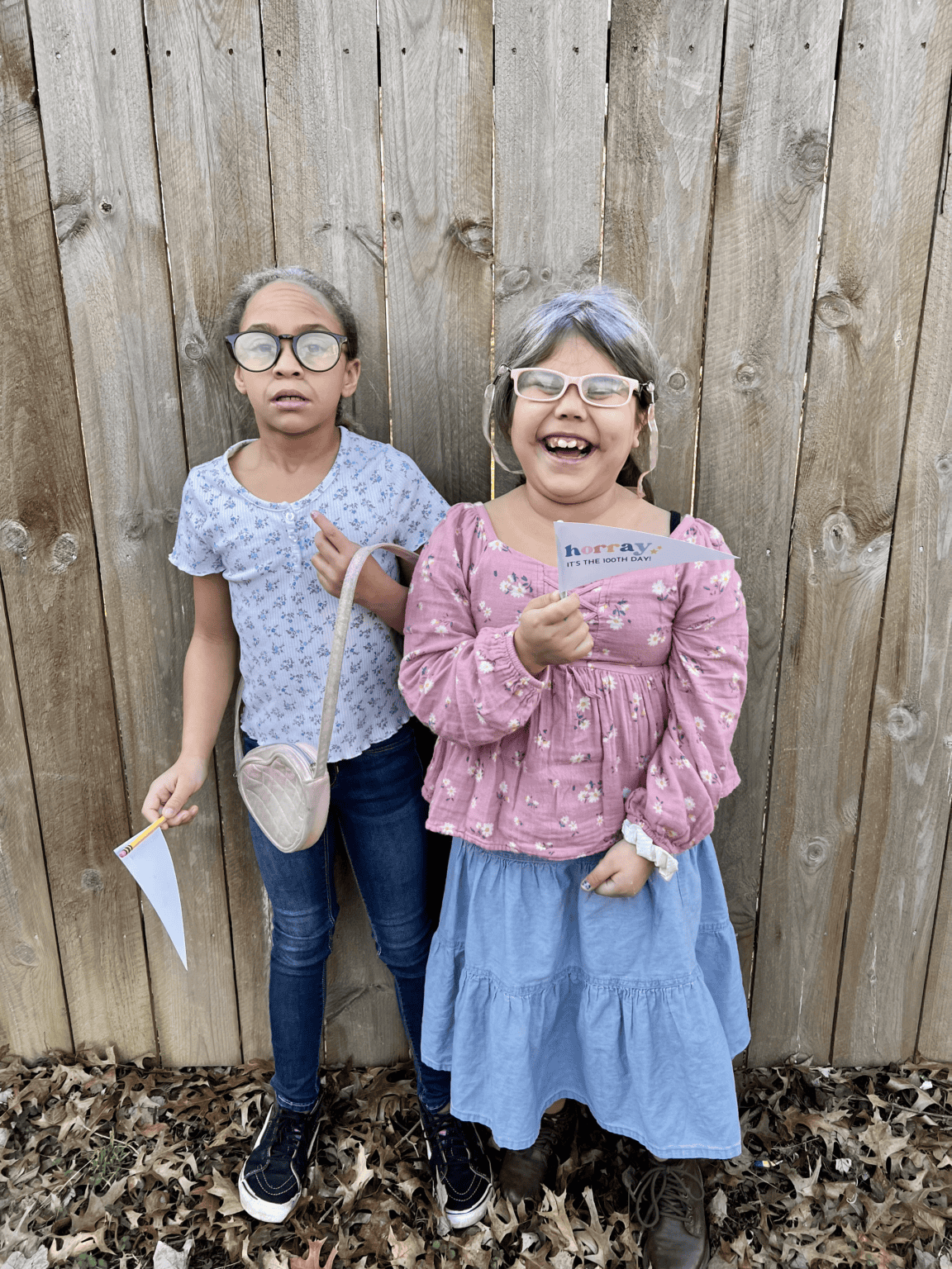 12+ Adorable 100th Day of School Old Lady Costume Ideas To Recreate ...