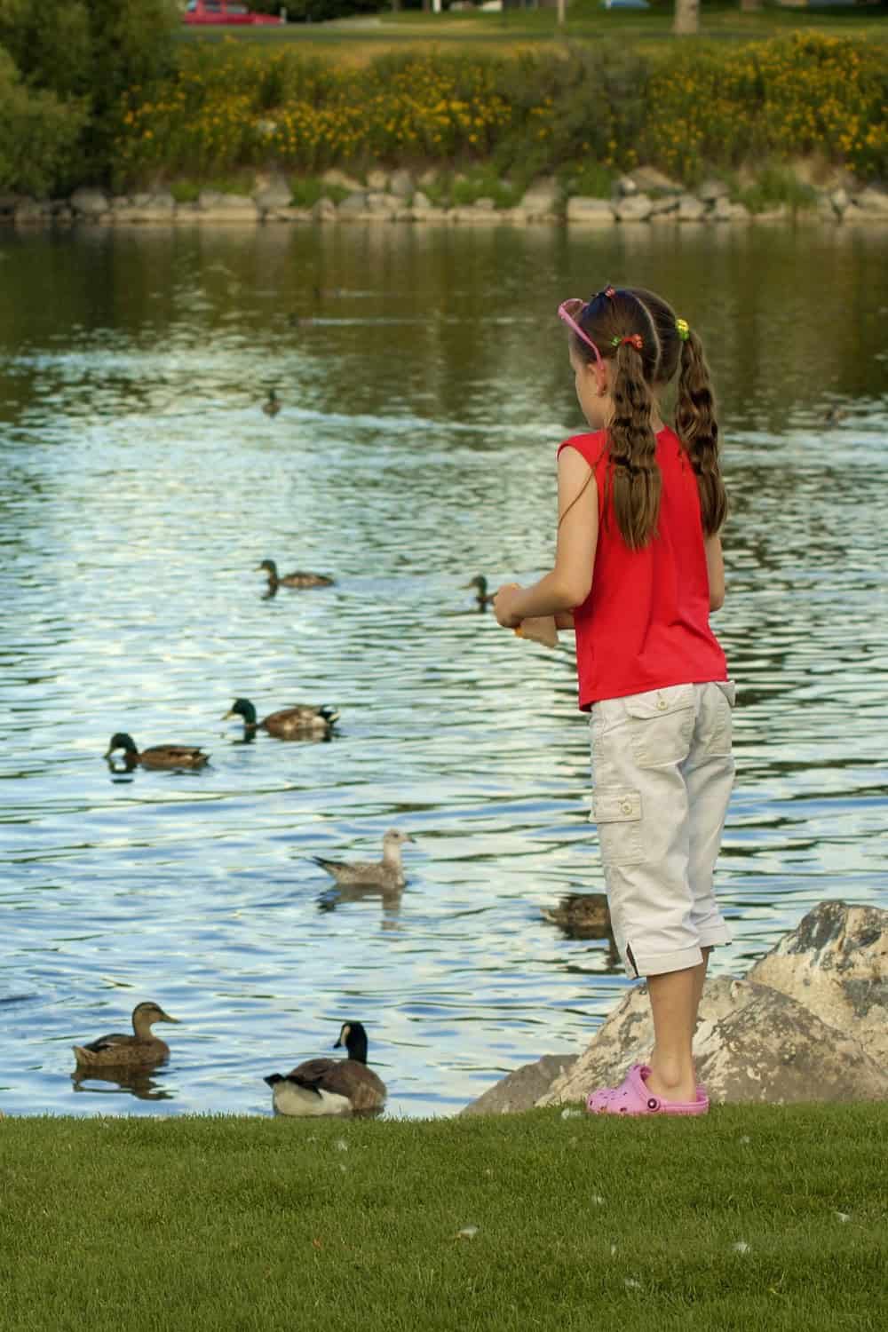 27 Cheap or Free Spring Break Activities For Kids That'll Keep Them ...